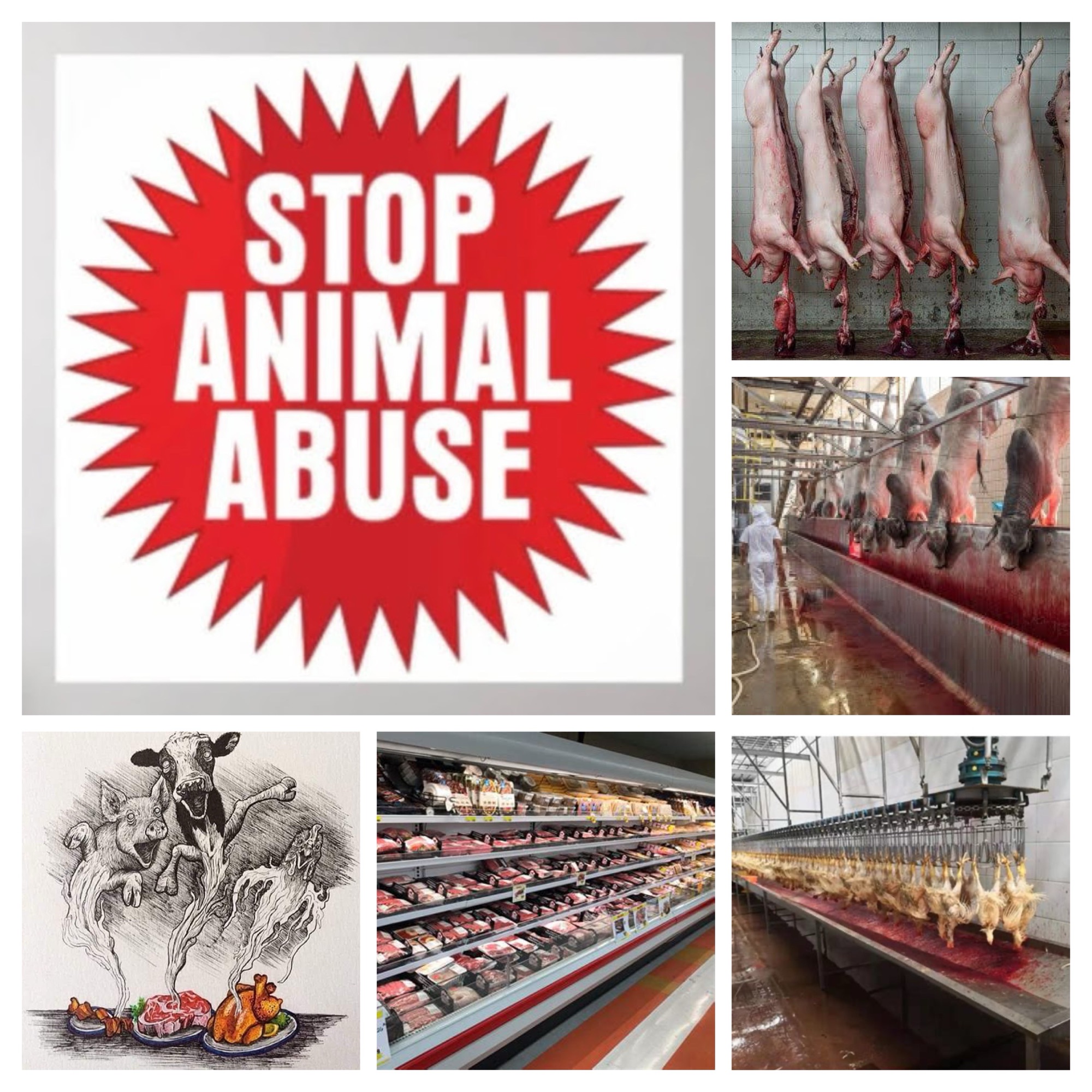 The Hypocrisy of Eating Animals – VeganVoices