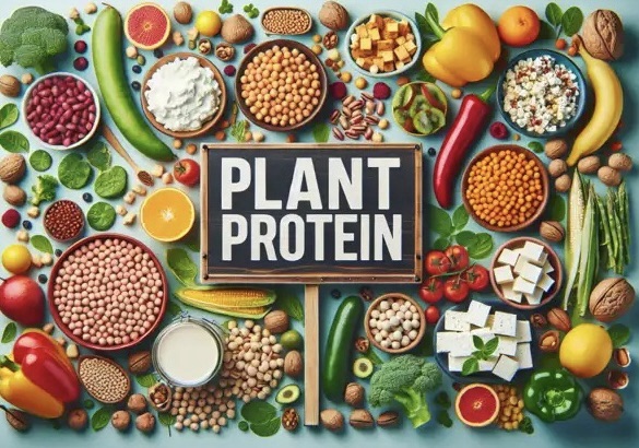 Plant-Powered Protein – VeganVoices